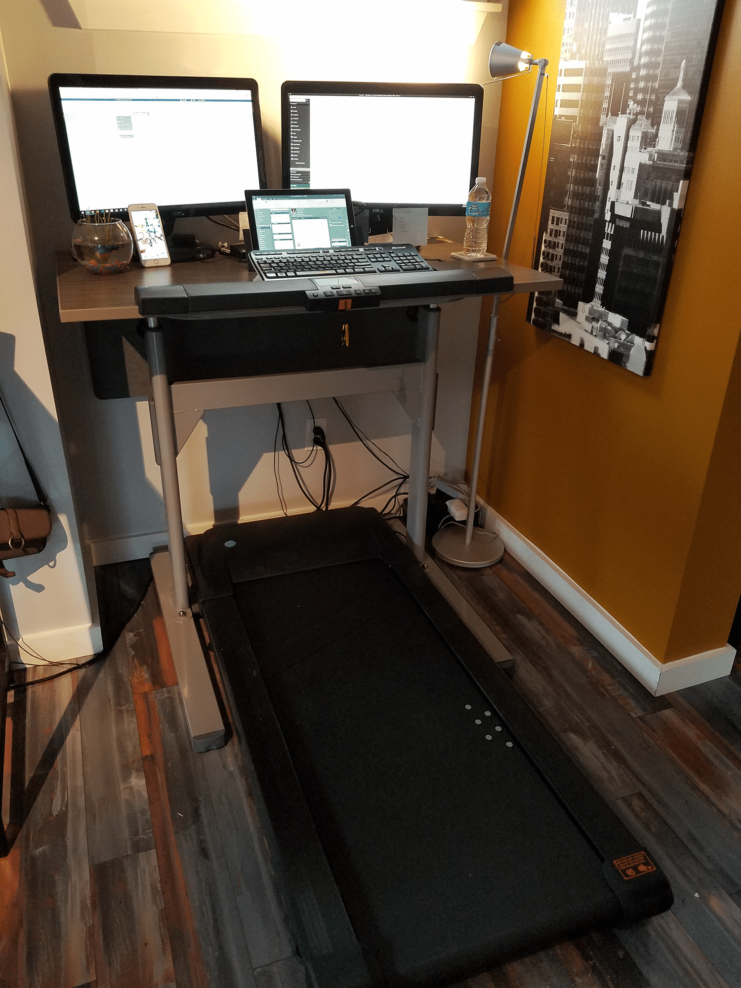 The Office Treadmill Desk Experiment